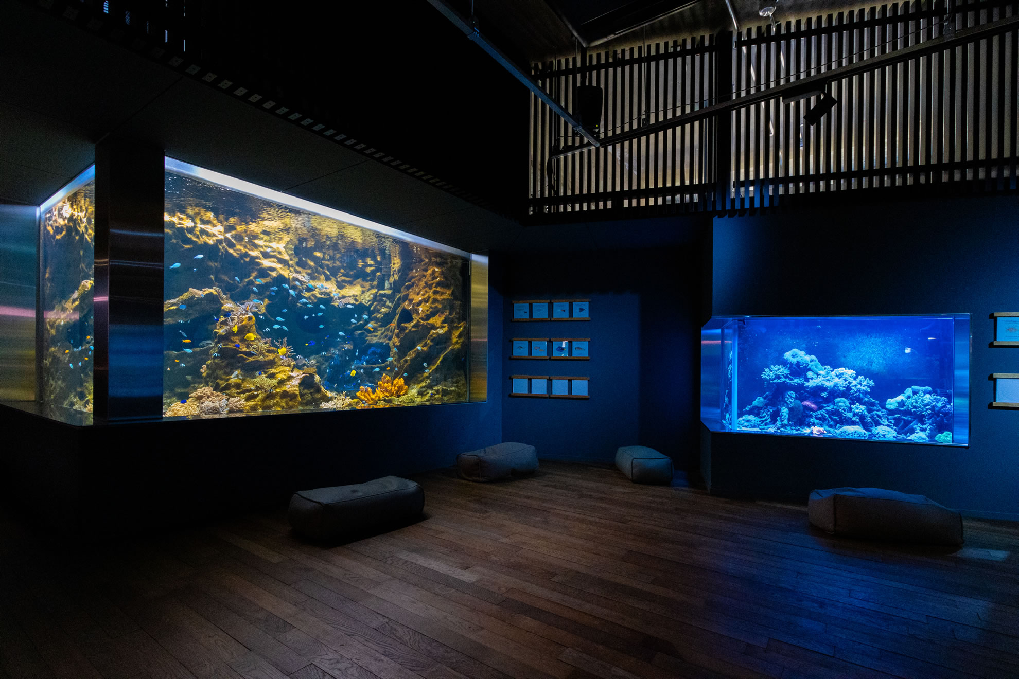NATURE STUDIO