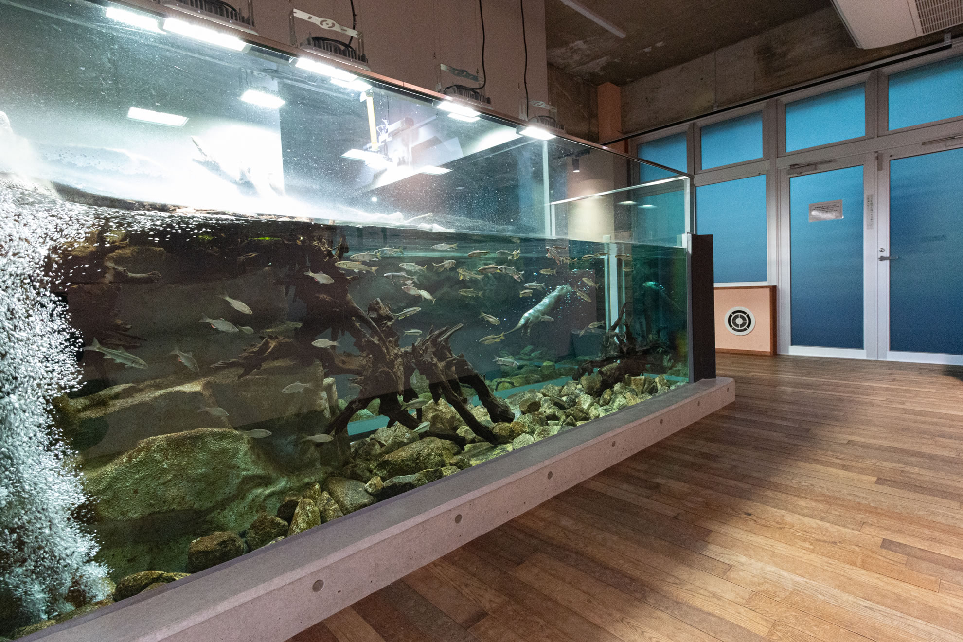NATURE STUDIO