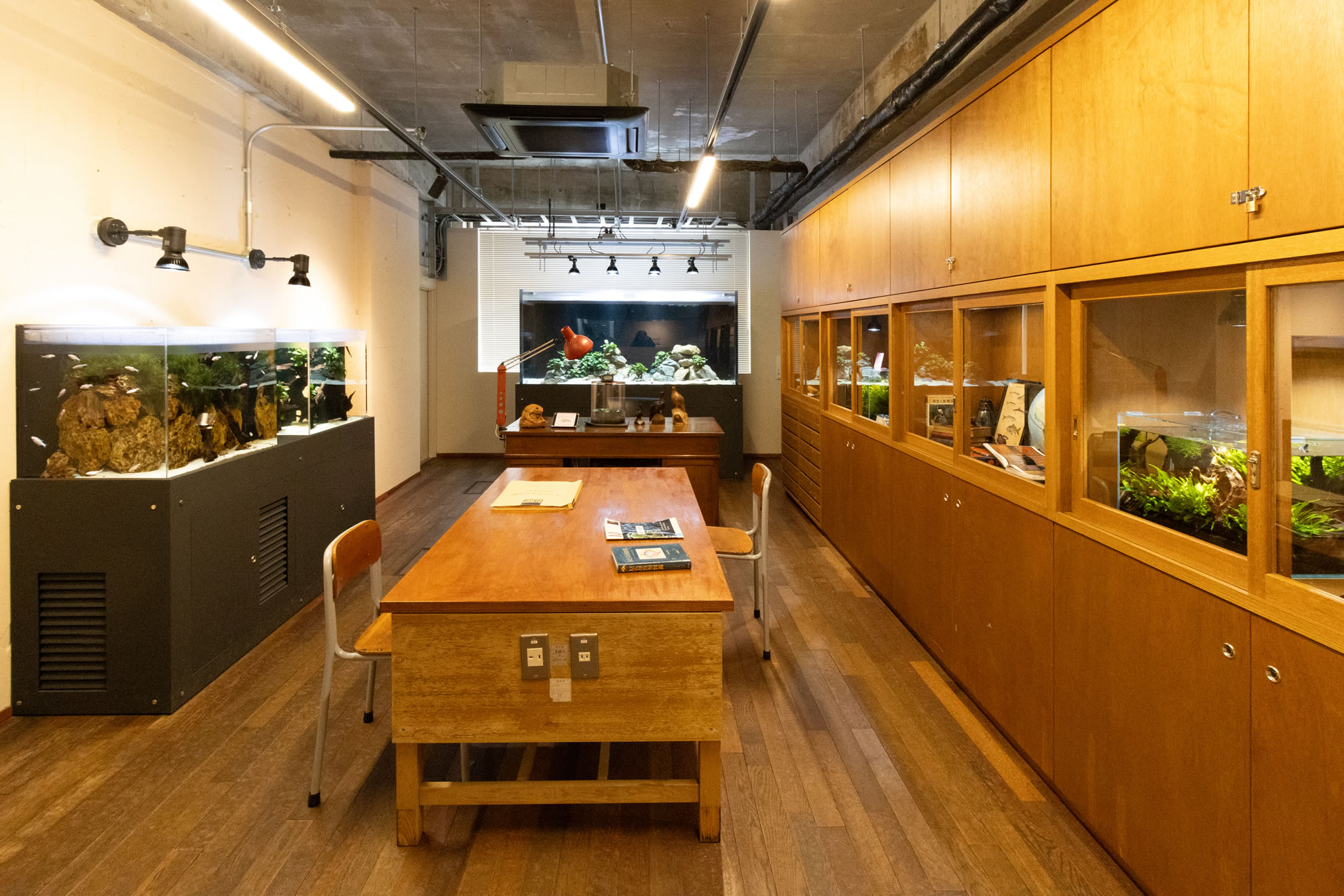 NATURE STUDIO