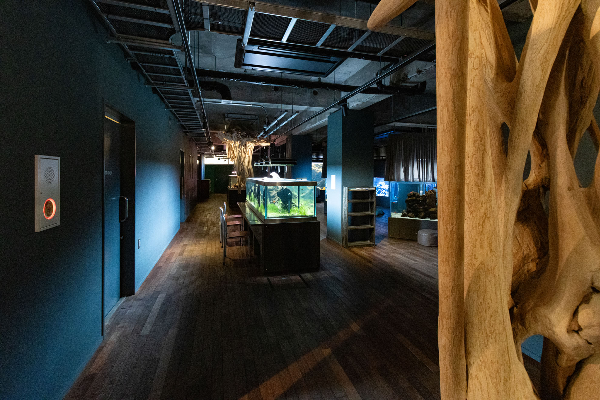 NATURE STUDIO